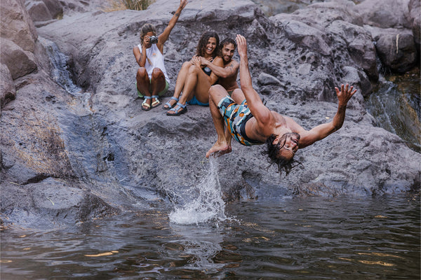 NetPlus – Passenger